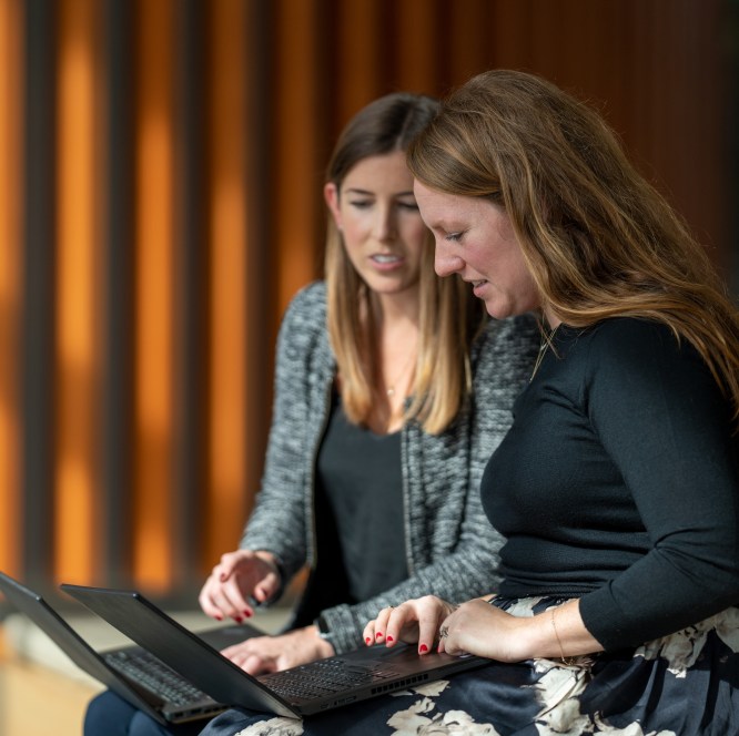 YETENEK YÖNETİMİ - MSD Türkiye