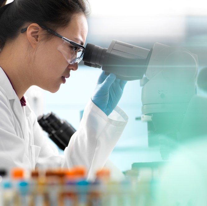 Tedavi Alanlarımız - MSD Türkiye